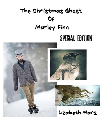 Smashwords – The Christmas Ghost Of Marley Finn – a book by Lizabeth Mars