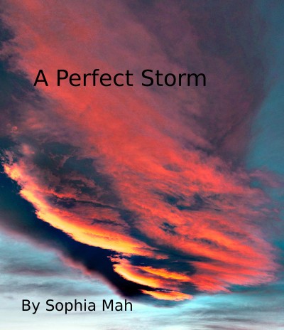 Smashwords – A Perfect Storm – a book by Sophia Mah