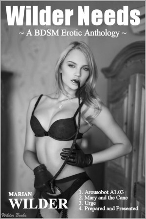 Smashwords – Wilder Needs - A BDSM Erotic Anthology