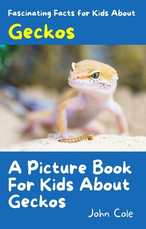 Smashwords – A Picture Book for Kids About Geckos
