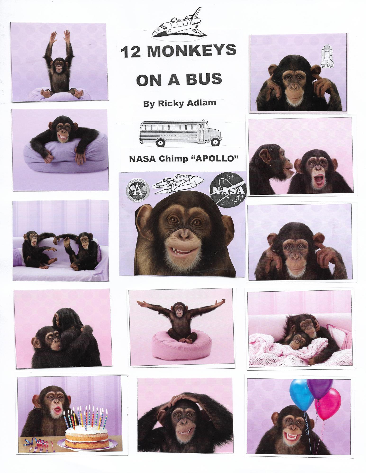 Smashwords – Twelve Monkeys on a Bus – a book by Ricky Adlam