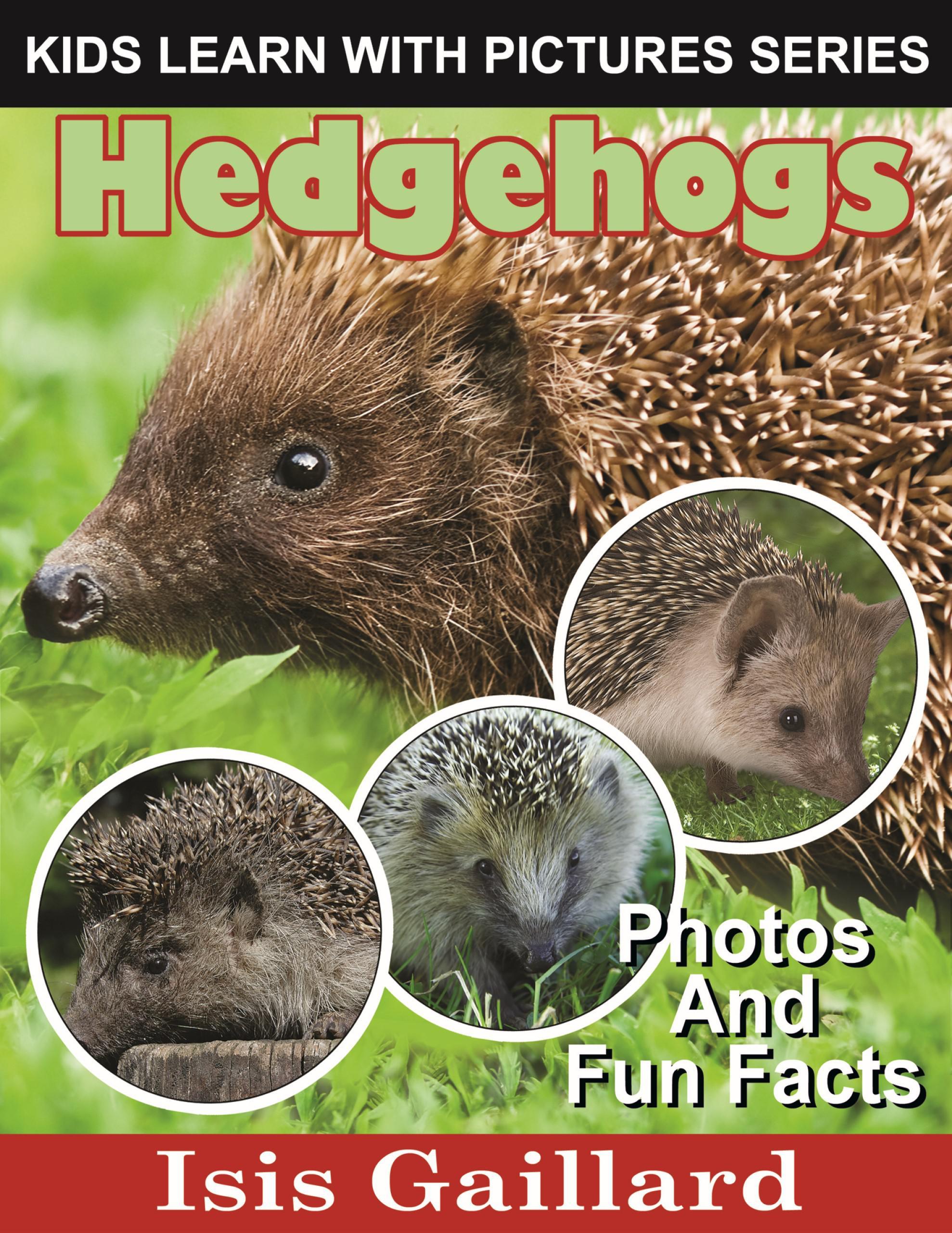 Smashwords – Hedgehogs Photos and Fun Facts for Kids – a book by Isis ...