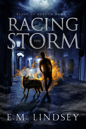 Smashwords – Racing The Storm