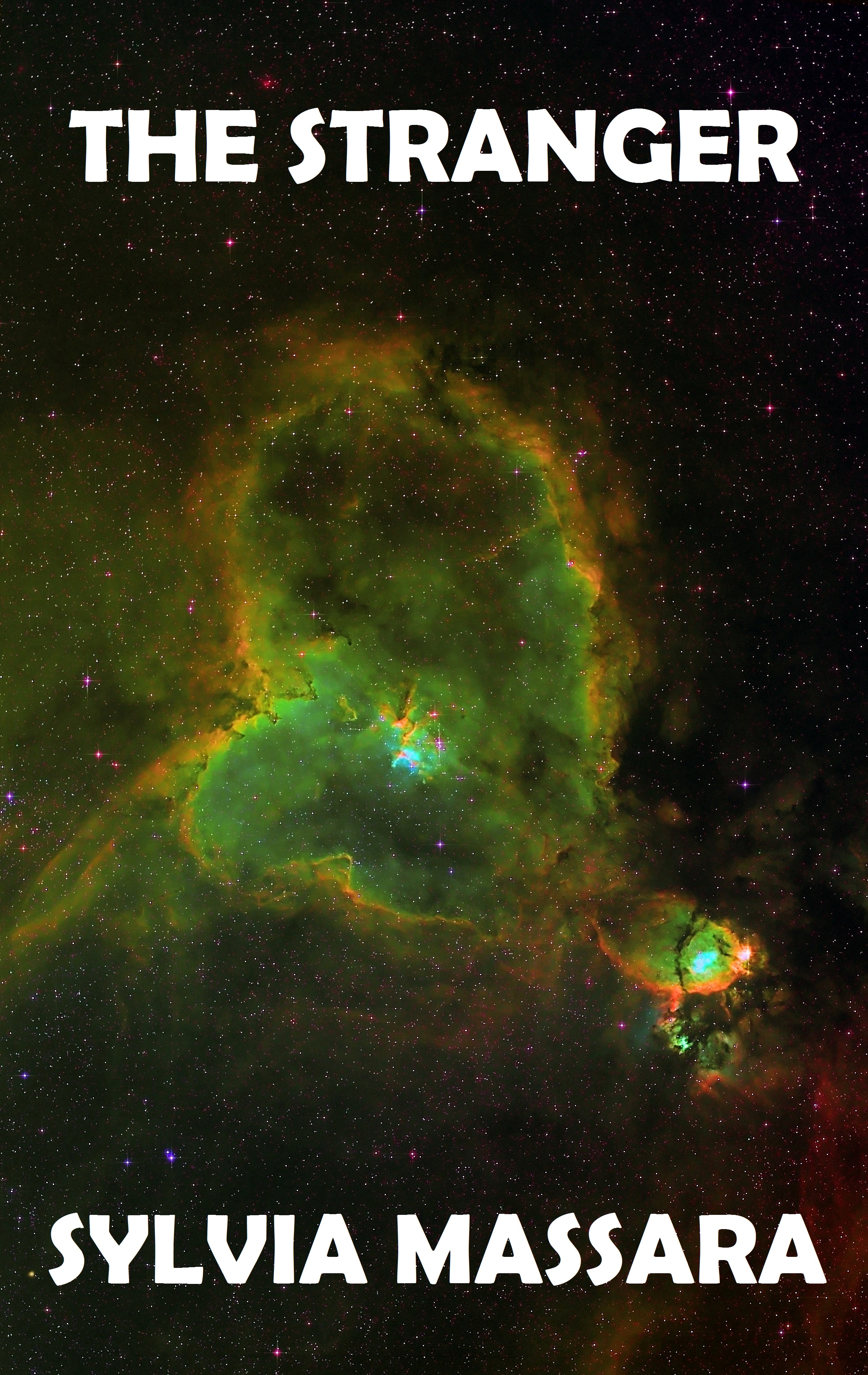 Smashwords – The Stranger – a book by Sylvia Massara