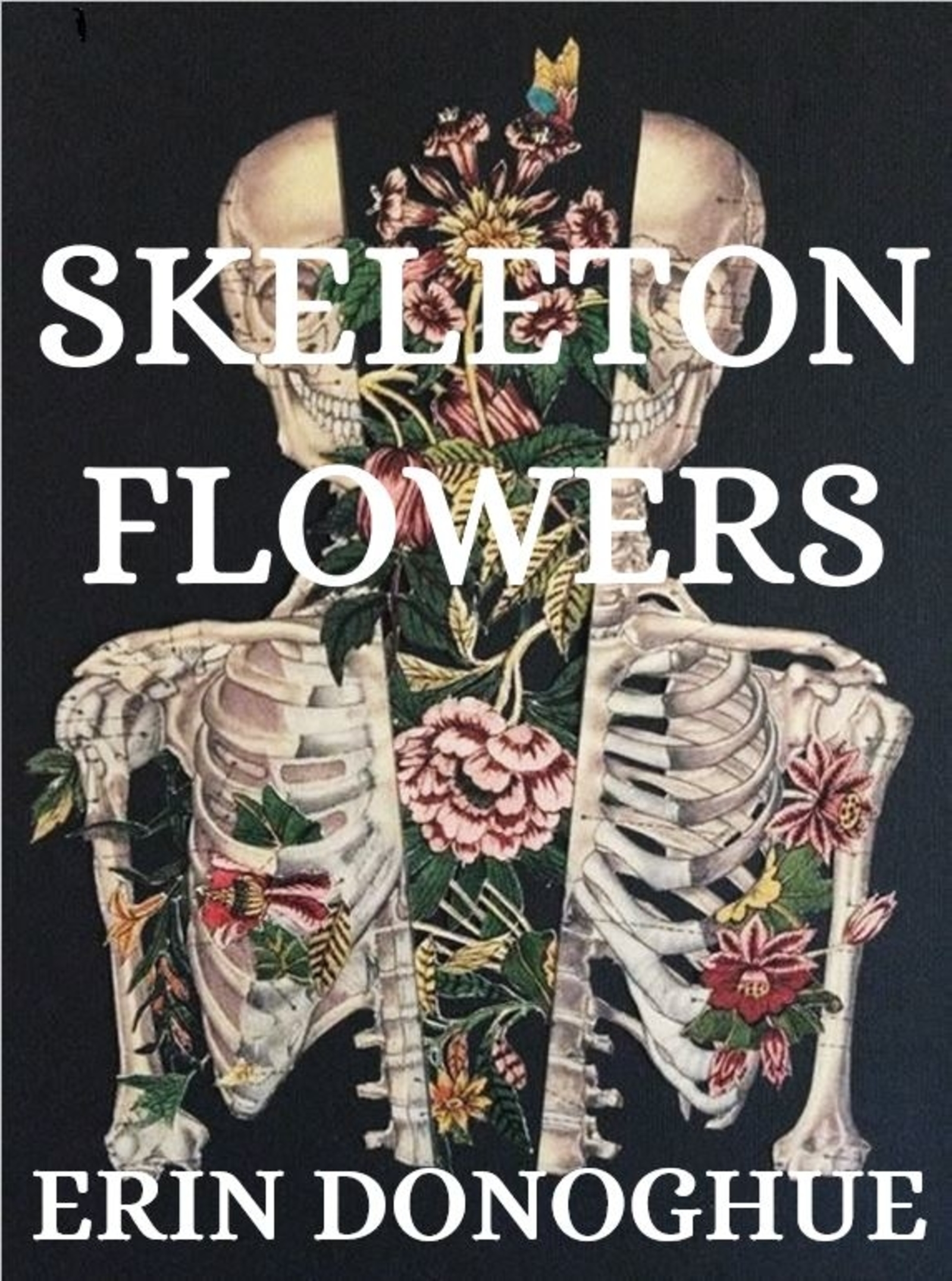 Smashwords – Skeleton Flowers – a book by Erin Donoghue