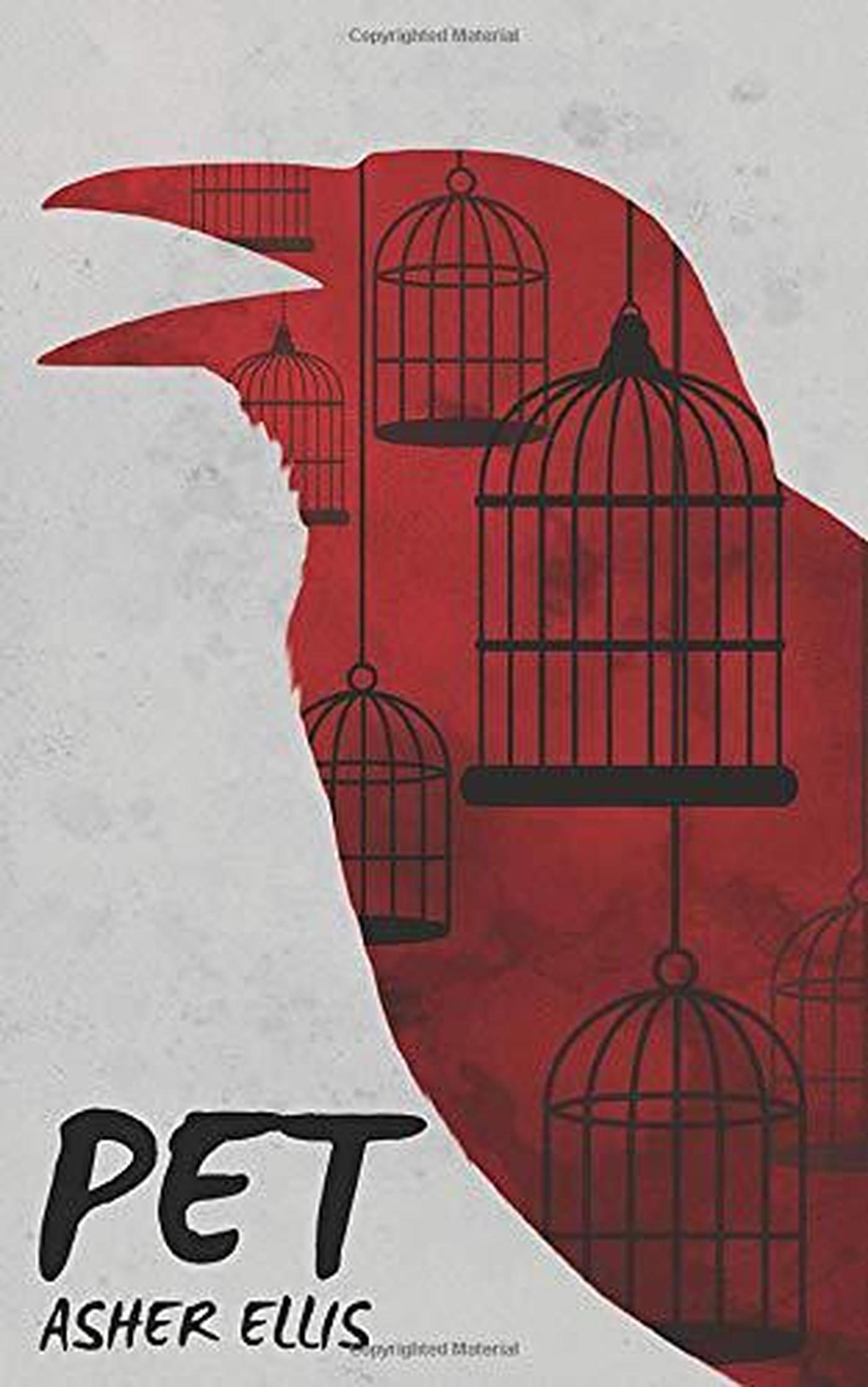 Smashwords – Pet – a book by Asher Ellis