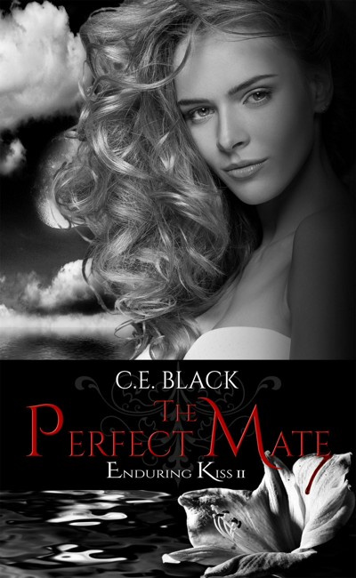 Smashwords – The Perfect Mate – a book by C.E. Black