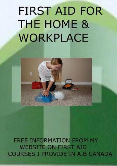 Smashwords – First aid for the home and workplace – a book by heidi bullen