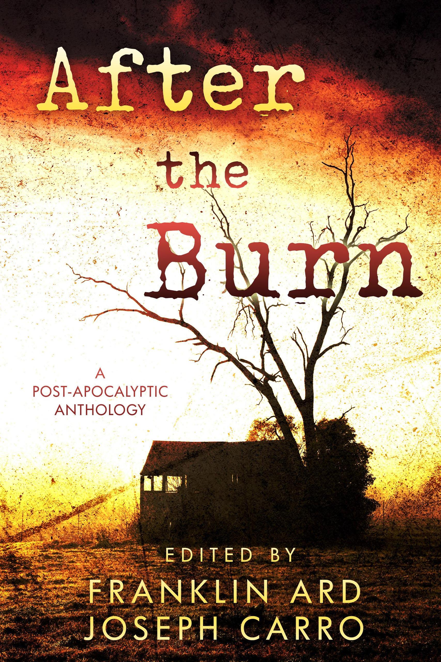 Smashwords – After the Burn – a book by Franklin Ard, Joseph Carro ...