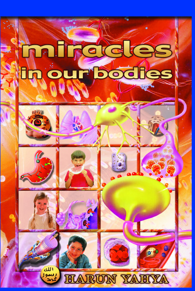 Smashwords – Miracles in Our Bodies – a book by Harun Yahya