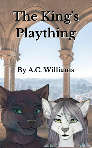Smashwords – The King's Plaything
