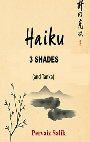 Smashwords – Haiku: 3 Shades (and Tanka)