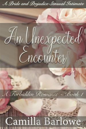 Smashwords – An Unexpected Encounter:A Pride and Prejudice Sensual Intimate