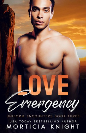 Smashwords – Love Emergency