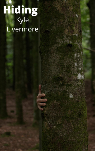 Smashwords – Hiding – a book by Kyle Livermore