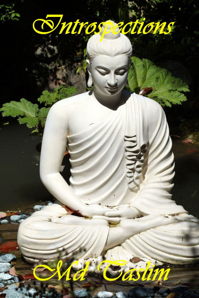 Smashwords – Introspections – a book by Md Taslim