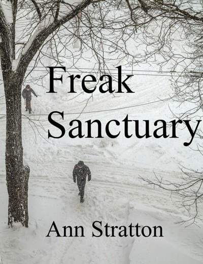 Smashwords – Freak Sanctuary – a book by Ann Stratton