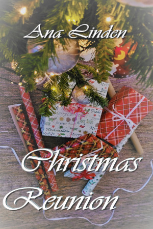 Smashwords – Christmas Reunion