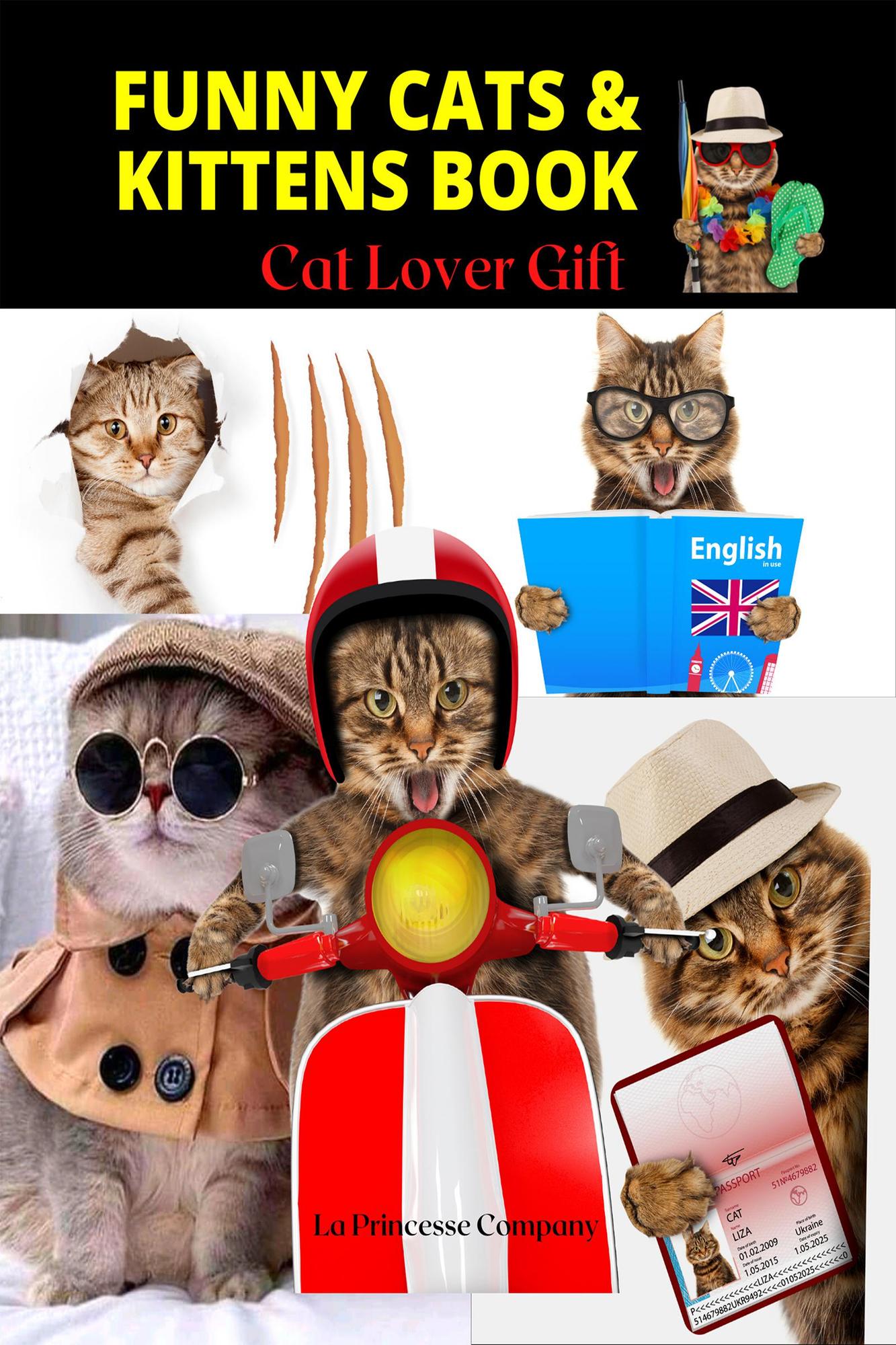 Smashwords – Funny Cats & Kittens Book - Cat Lover Gifts – a book by ...