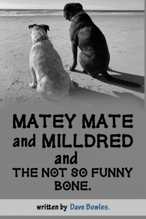 Smashwords – Matey Mate and Milldred and the Not So Funny Bone.