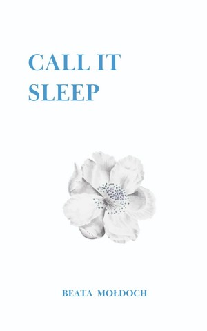 Smashwords – Call it Sleep