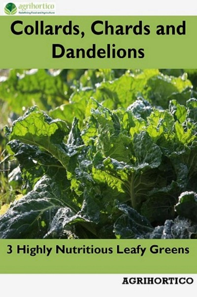 Smashwords – Collards, Chards and Dandelions: 3 Highly Nutritious Leafy ...