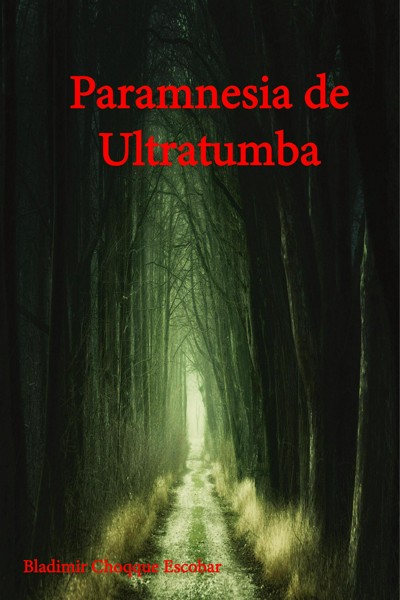 Smashwords – Paramnesia de ultratumba – a book by Bladimir Choqque Escobar