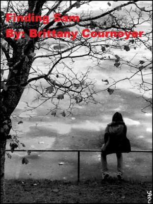 Smashwords – Finding Sam