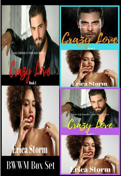 Smashwords – Crazy Love Box Set – a book by Erica Storm