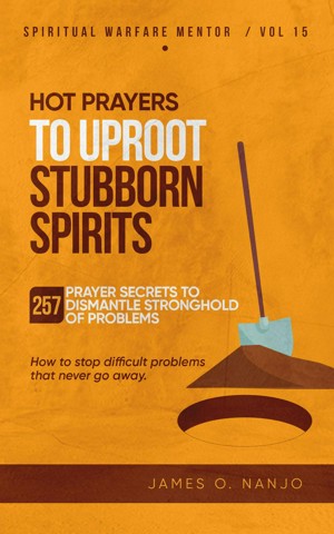 Smashwords – Hot Prayers to Uproot Stubborn Spirits