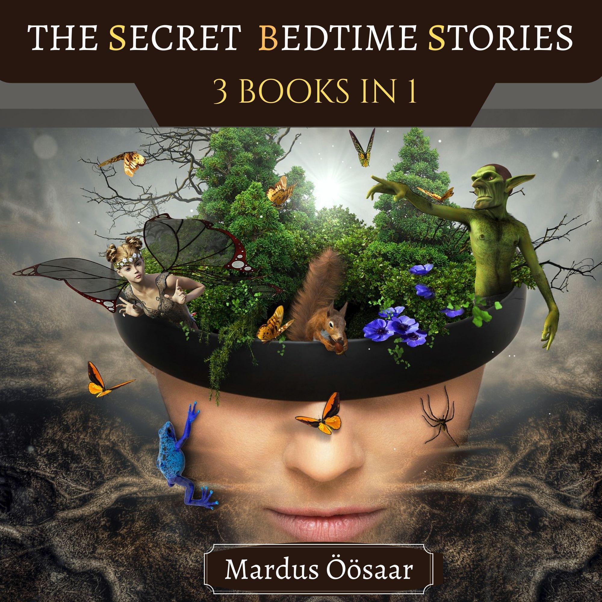 Smashwords – The Secret Bedtime Stories – a book by Mardus Öösaar