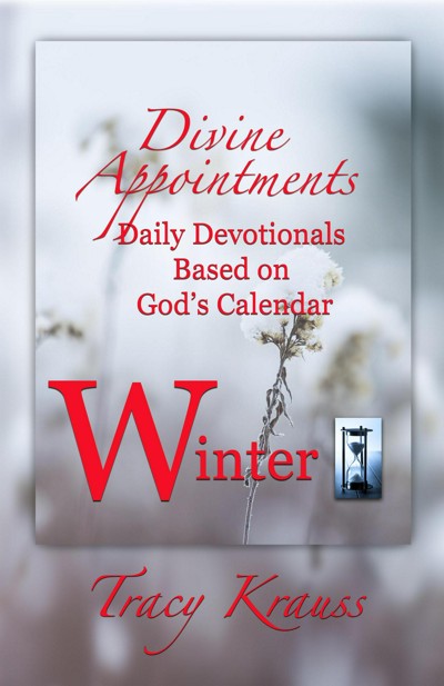 Smashwords – Divine Appointments: Daily Devotionals Based on God's ...