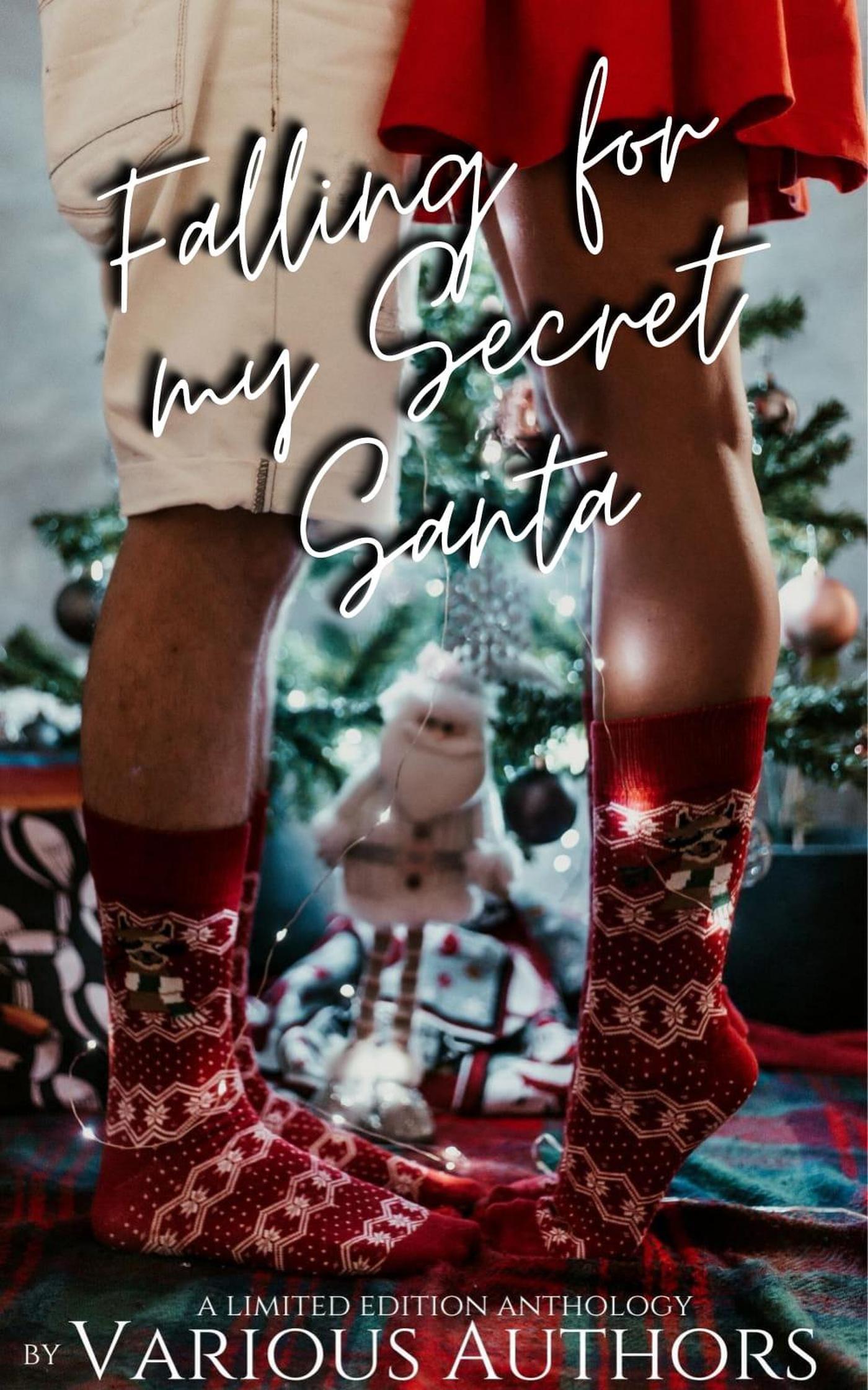 Smashwords – Falling for my Secret Santa (A Limited Edition Christmas ...
