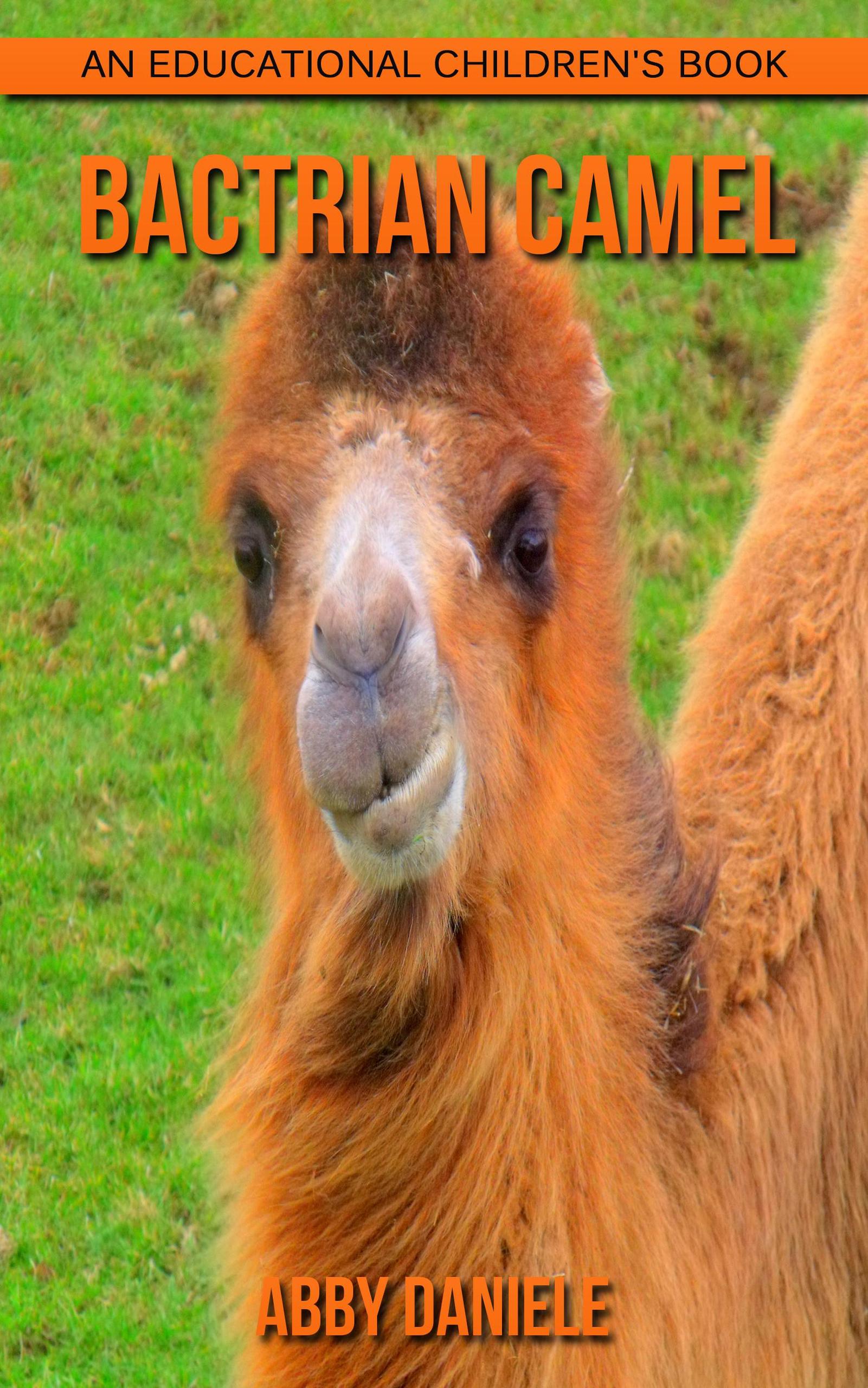 Smashwords – Bactrian camel! An Educational Children's Book about ...