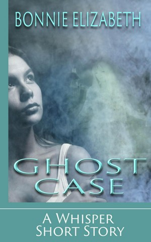 Smashwords – Ghost Case