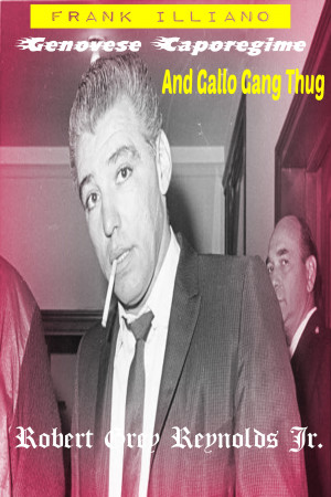 Smashwords – Frank Illiano Genovese Caporegime And Gallo Gang Thug – a ...