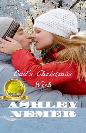 Smashwords – Bud's Christmas Wish