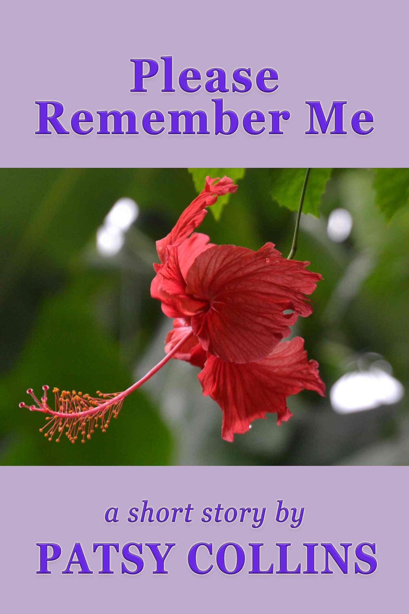 Smashwords – Please Remember Me – a book by Patsy Collins