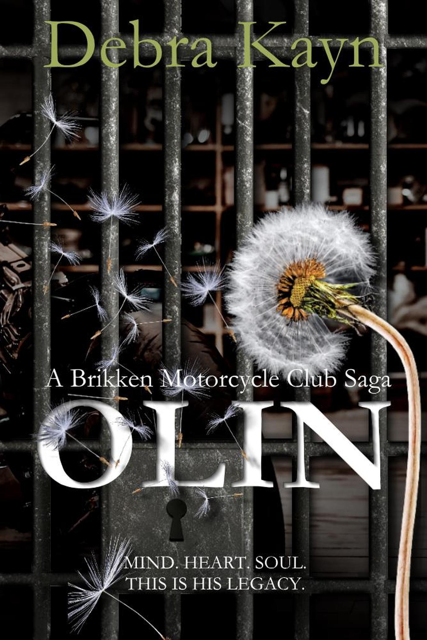 Smashwords – Olin – a book by Debra Kayn
