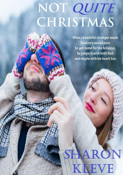 Smashwords – Not Quite Christmas – a book by Sharon Kleve