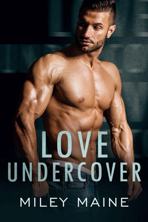 Smashwords – Love Undercover