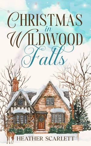 Smashwords – Christmas in Wildwood Falls