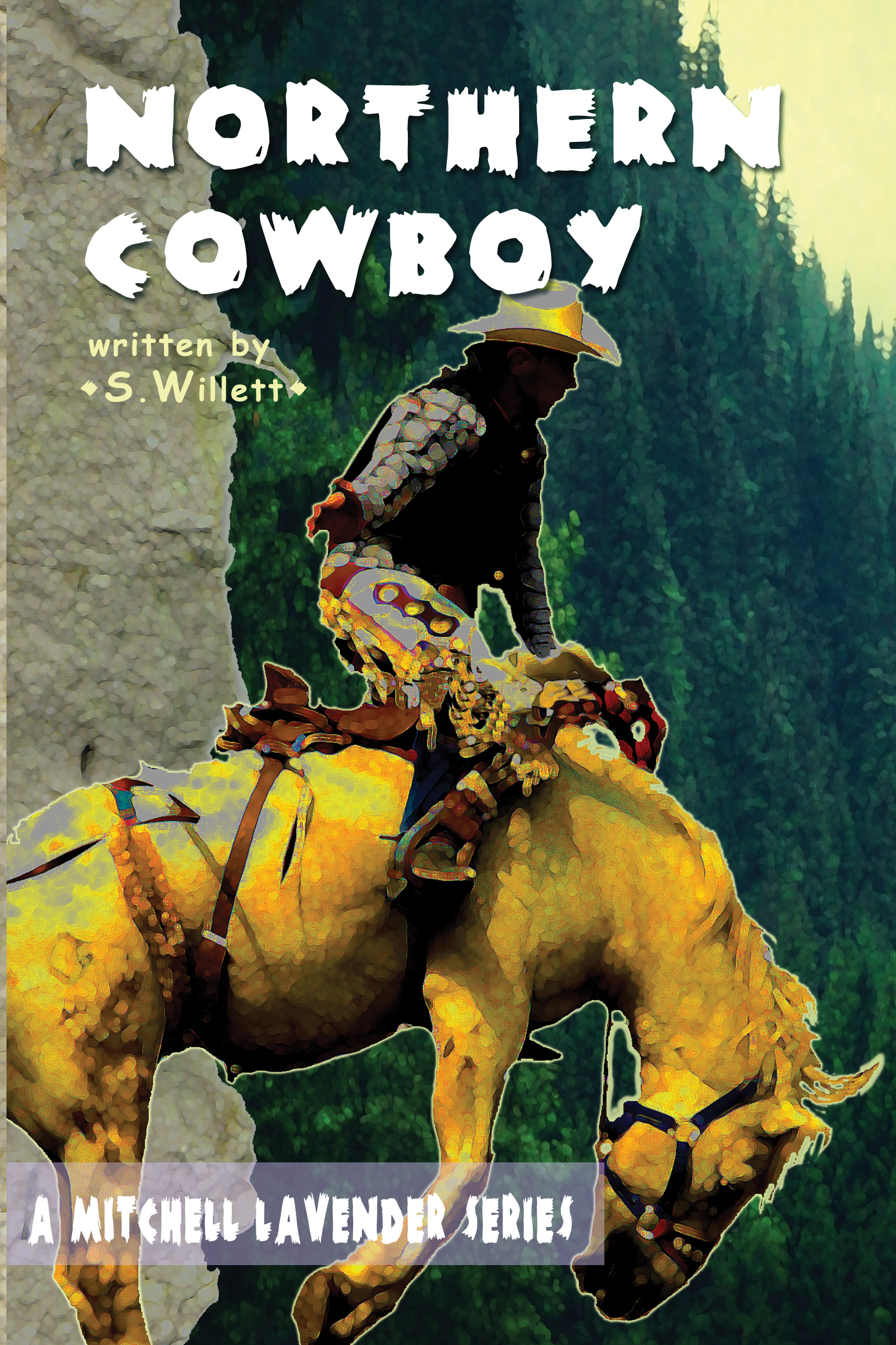 Smashwords – Northern Cowboy – a book by S Willett