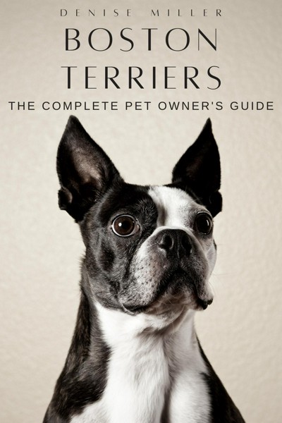 Smashwords – Boston Terriers: Complete Pet Owner's Guide – a book by ...