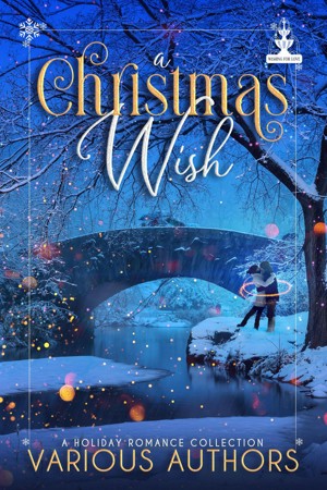 Smashwords – A Christmas Wish