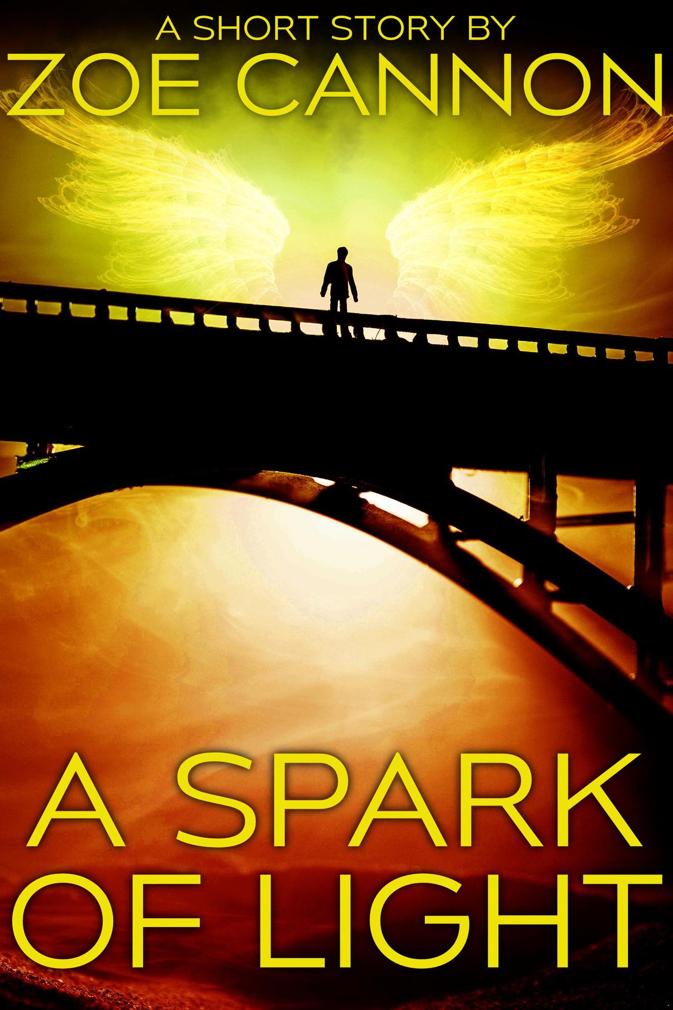 Smashwords – A Spark of Light – a book by Zoe Cannon