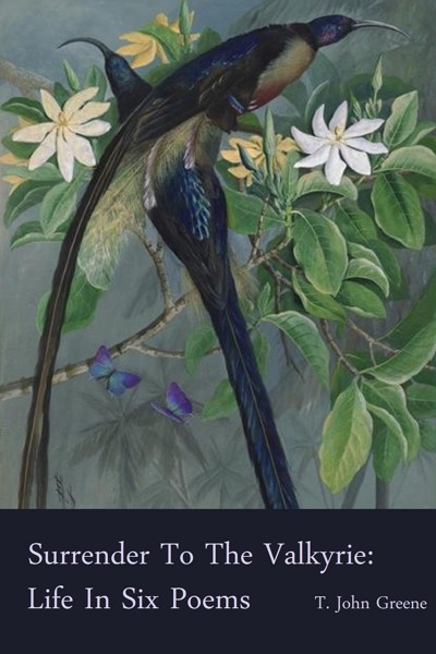 Smashwords – Surrender To The Valkyrie: Life In Six Poems – a book by T ...