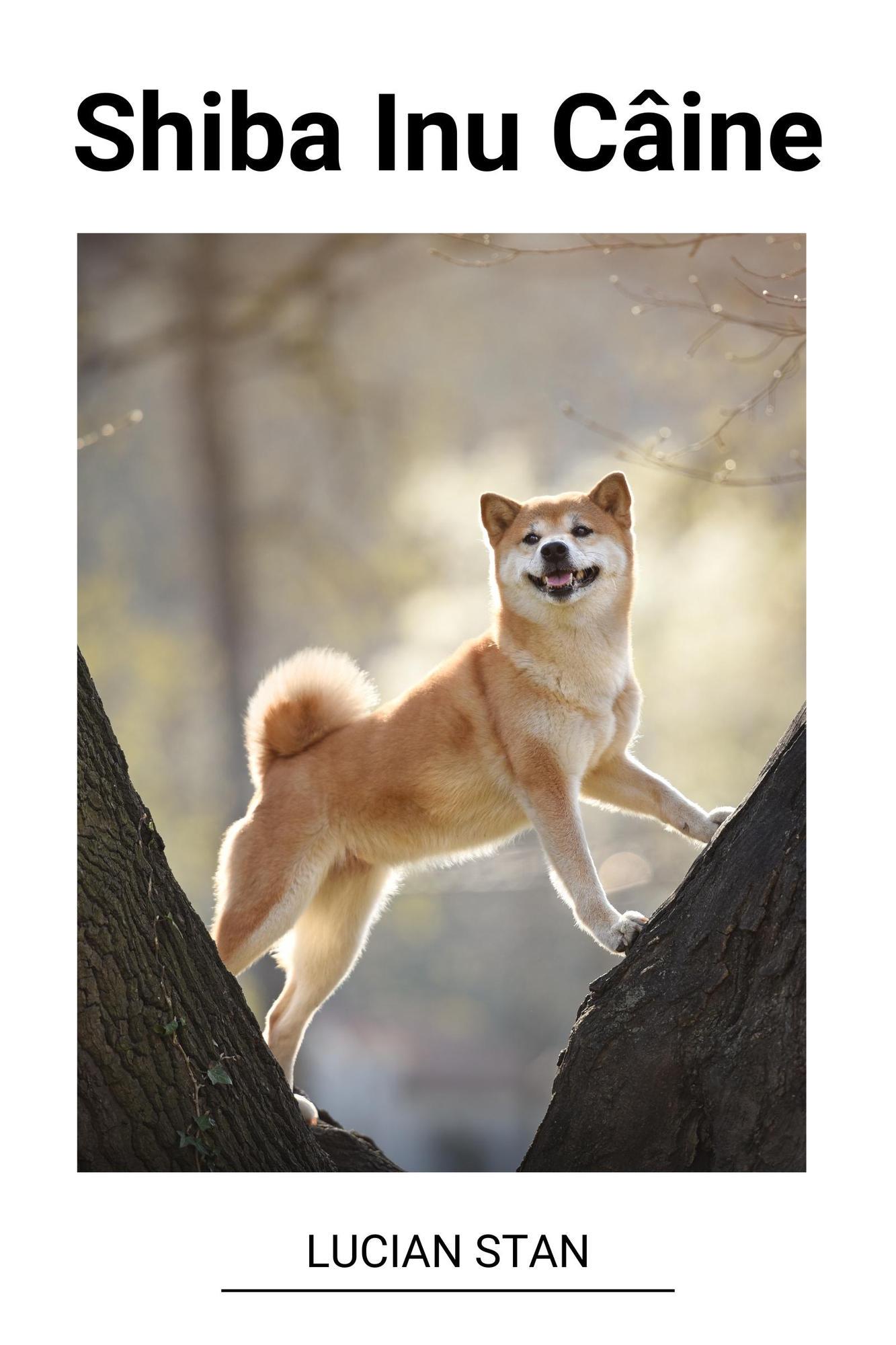 Smashwords – Shiba Inu Câine – a book by Lucian Stan