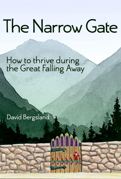 Smashwords – The Narrow Gate – a book by David Bergsland