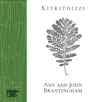 Smashwords – Kitkitdizzi – a book by John Brantingham & Ann Brantingham